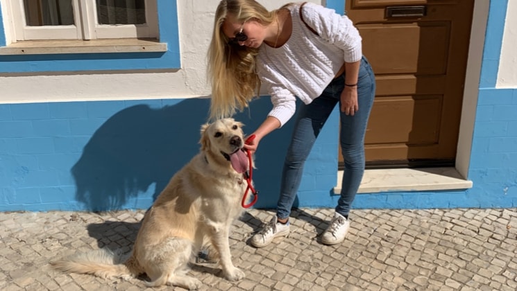 Jessica Pet Sitter In Mitte Pawshake de jessica-pet-sitter-in-mitte-pawshake-de